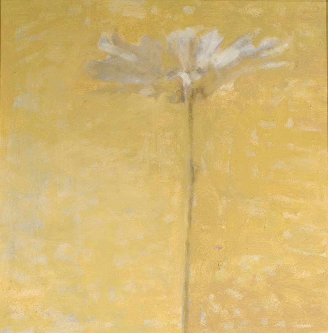 Annie Harris Massie • LYDM