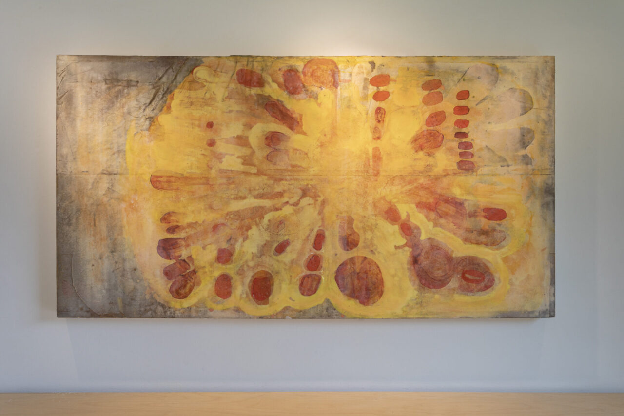 Exhibitions • LYDM