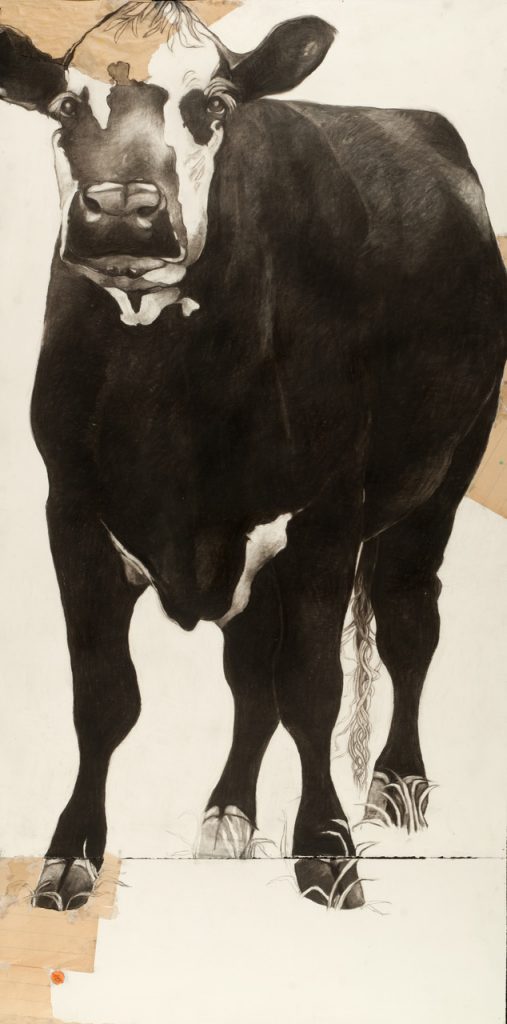 Suzanne Tanner Chitwood • LYDM