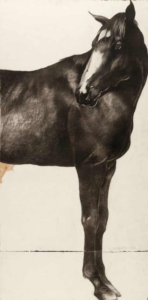 Suzanne Tanner Chitwood • LYDM