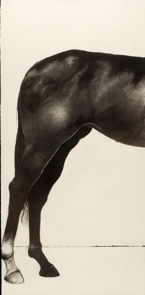 Suzanne Tanner Chitwood • LYDM