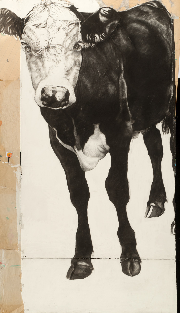 Suzanne Tanner Chitwood • LYDM