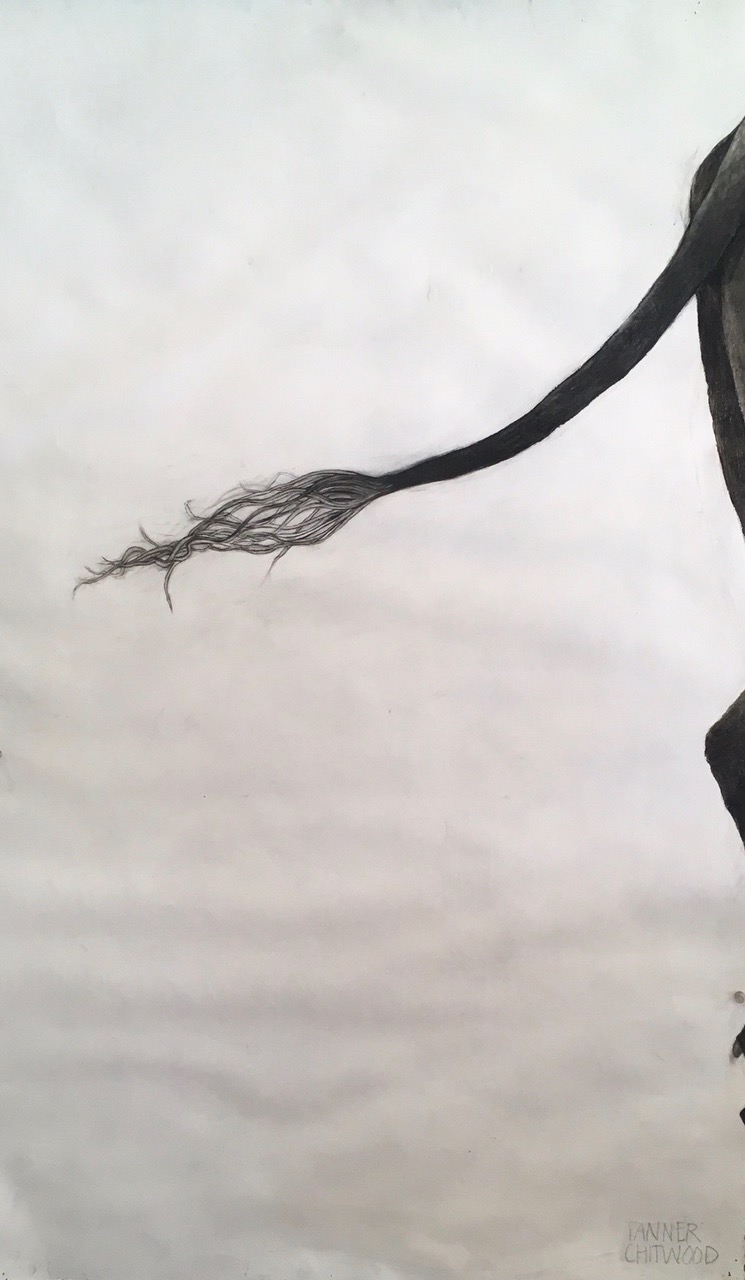 Suzanne Tanner Chitwood • LYDM