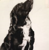 Suzanne Tanner Chitwood • LYDM